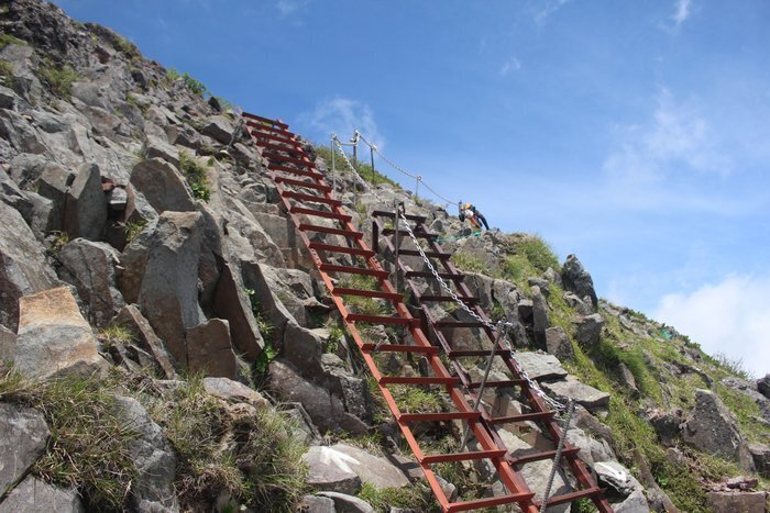ウルップソウとヤツガタケキスミレを見に横岳へ: 山で会いましょう